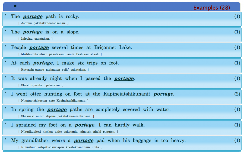 How to Use the Dictionary