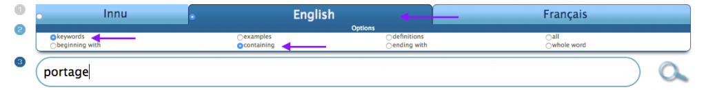 How to Use the Dictionary